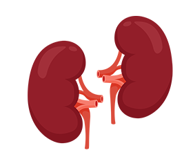 SiMihealth Basic Kidney Profile - Simira Diagnostics